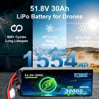 China 51.8V 30Ah 1554Wh High Capacity Lithium Ion Battery Pack 14S1P High Energy Density 259.26Wh Kg UN38.3 Certified Factory Direct Wholesale For Backup Power And Industrial Energy Storage for sale