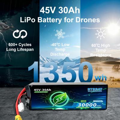 China 45V30Ah 1350Wh Lithium Ion Battery Pack 12S1P High Performance Rechargeable Power Module Factory Wholesale Supply For Off Grid Power RV Industrial Facilities Electric Machinery Safe UN38.3 Test Passed for sale