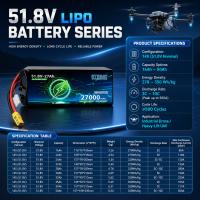China 51.8V 24Ah Lithium Ion Battery Pack High Capacity 3C Max Discharge Stable Rechargeable Power Supply With BMS For E Bike Electric Scooter Light Electric Vehicle Energy Storage Factory Direct Delivery for sale