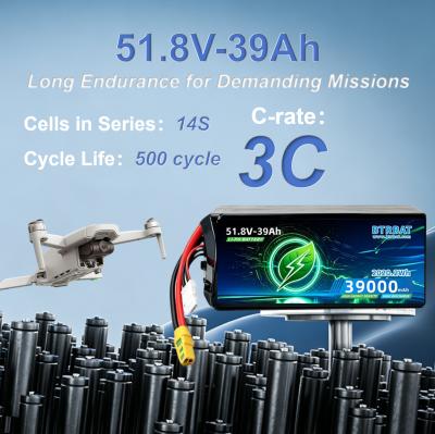 China 51.8V 39Ah 14S Lithium Battery Pack 3C Max Continuous Discharge 59.5V Charge Voltage 38.5V Cut Off For Industrial Equipment Energy Storage System Factory Direct Supply for sale