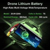 China 25.9V 22Ah 7S Rechargeable Lithium Battery Pack 5C Max Continuous Discharge 29.4V Full Charge Voltage 19.2V Discharge Cutoff Voltage High Power Li Ion Battery For Industrial Robot Power Supply for sale