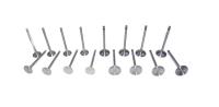 China EA888 Engine Valve Kit 06D109601M 06D109611L for Audi A4 A5 VW Golf GTI Tiguan Passat for sale