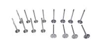 China EA888 Engine Valve Kit 06D109601M 06D109611L for Audi A4 A5 VW Golf GTI Tiguan Passat for sale