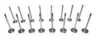 China EA888 Engine Valve Kit 06D109601M 06D109611L for Audi A4 A5 VW Golf GTI Tiguan Passat for sale