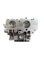 China D5244T5 D5204T Cylinder Head 30777365 30777365-016 30777365016 30731988  for S60 S80 V60 V70 XC60 XC70 for sale