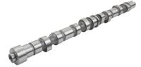 China Chevrolet Captiva Lacetti OpeL 2.0 CDTI C345 Z20DM Camshaft 4805877 96440157 CM052186 for sale