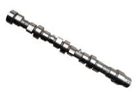 China 3949024 3949042 3907824 3914638 3914639 3925582 3929039 3910624 3929042 Camshaft for Cummins 6BT for sale