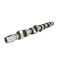 China EA390 Engine Camshaft 070109101P 038109309C 038109309A 038109309B for VW Multivan Audi A3 for sale