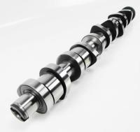 China EA390 Engine Camshaft 070109101P 038109309C 038109309A 038109309B for VW Multivan Audi A3 for sale