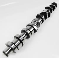 China EA390 Engine Camshaft 070109101P 038109309C 038109309A 038109309B for VW Multivan Audi A3 for sale