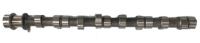 China 4D56T D4BH Engine Camshaft 24100-42200 MD302333 MD137163 for HYUNDAI 4D56 H100 for sale