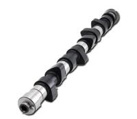 China F80 S55 N55 Engine Camshaft 7576161 11317576160 11317576161 11317563664 11317563665 for BMW 525 320 E36 E46 for sale
