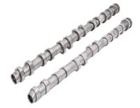 China F80 S55 N55 Engine Camshaft 7576161 11317576160 11317576161 11317563664 11317563665 for BMW 525 320 E36 E46 for sale