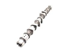 China 55568390 55561747 55568389 55561748 SKES1065  SKES1066 Camshaft for Chevrolet Aveo5 G3 2009 L4 1.6L for sale