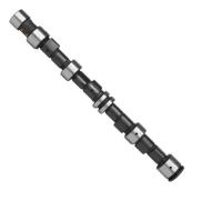 China OPEL Camshaft 93244916  93235615 93113800 93219505 For Daewoo GM Chevrolet OPEL Corsa 1.6L for sale