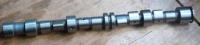 China CHEVOLET OPEL Corsa 1.6L Engine Camshaft 93244916 93219507 93219505 92244916 93235615 for sale