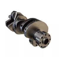 China TDV6  Crankshaft LR038168 LR010297 LR106166 LR052136 LR063285 LR127427 LR036824 LR069659 For Landrover for sale