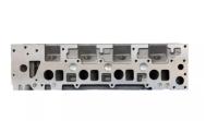 China AMC908761 908761  ERR5027 LDF500180 Engine Cylinder Head for Landrover 300TDI for sale