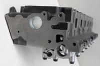 China 1HD-FTE 1HD-FT 1HD-T 24V Engine Cylinder Head 11101-17041 11101-17042 11101-17050  for Toyota Landcruiser for sale