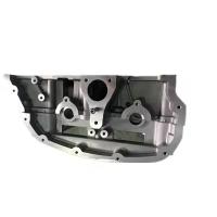 China ZSD-424 H9FA FXFA H9FB Cylinder Head AMC908767 908767 1331233 908267 1701871 for TRANSIT 2.4L L4 DURATORQ/ZSD-424 TDCI for sale