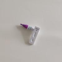 China Sample Feces H Pylori Antigen Rapid Test Cassette 15mins Qualitative Detection for sale