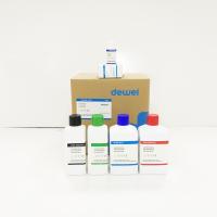 China Cell Counter Reagents for CBC Analyzer MINDRAY 5 Part BC-6700 ( with Barcode ) Manufactuer in China for sale