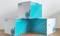 China RNA Isolation Kit Nucleic Acid Auto Extraction Kit Compatible on Models Allsheng Bioer Zybio Thermofisher for sale