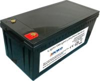 China Lightweight 2000 Times RoHS 3.2V 12V LiFePO4 Battery for sale