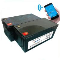 China 200 Amp Hour 4s4p 2.56KWh Electric Boat Motor Battery for sale