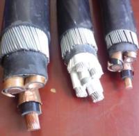 China 4 Core SWA Armoured Cables All branches have SWA cutting machines We can supply long lengths Branches stock lengths up to 1,000 for sale