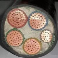 China Medium Voltage XLPE Insulation PVC Sheathed SWA Power Cable for sale