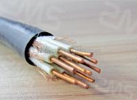 China SY cable, YY cable, and LiYCY & LiYY cables designed for a wide range of industrial process automation applications for sale