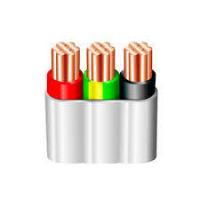 China China high quality NMD cable 300/500V flat electric wire for sale