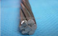 China China Most Competitive Price ACSR AAC AAAC Overhead Conductor 150 mm2 for sale