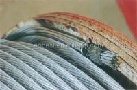 China China Most Competitive Price ACSR AAC AAAC Overhead Conductor 150 mm2 for sale
