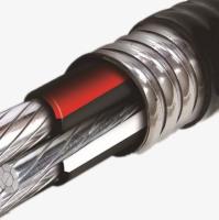 China Most Popular Power Cable TC90 Aluminum Alloy Power Cable 70 mm2 for sale
