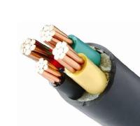 China Top-quality CV 0.6-1kv XLPE-PVC Power Cable 50 mm2 for sale