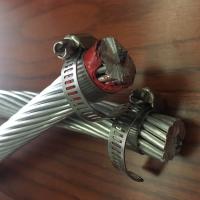 China Best price bare conductor AAC AWG1 Pansy for sale