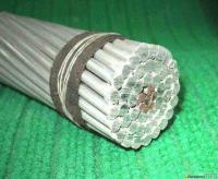 China Bare conductor ACSR AWG 4/0 Penguin aluminum conductor for sale