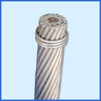 China Bare conductor ACSR AWG 4/0 Penguin aluminum conductor for sale