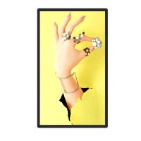 China 55 Inch Indoor Ultra Thin Digital Signage Display Panels For Stores Grocery for sale