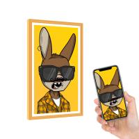 China Art Screen NFT LCD Display 18.5