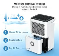 China Portable Dehumidification Device With Air Filter Quiet Moisture Removal / Easy Maintenance Dust Filter for sale