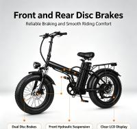 China Adult Foldable 20 Inch Fat Tire Electric Bike 500W Motor 48V 15Ah Detachable Battery / Hydraulic Shock Absorption for sale