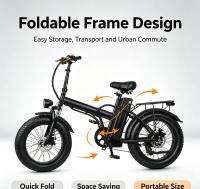 China Adult Foldable 20 Inch Fat Tire Electric Bike 500W Motor 48V 15Ah Detachable Battery / Hydraulic Shock Absorption for sale