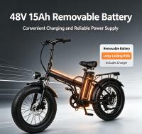 China Adult Foldable 20 Inch Fat Tire Electric Bike 500W Motor 48V 15Ah Detachable Battery / Hydraulic Shock Absorption for sale