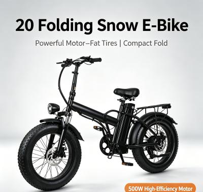 China Adult Foldable 20 Inch Fat Tire Electric Bike 500W Motor 48V 15Ah Detachable Battery / Hydraulic Shock Absorption for sale