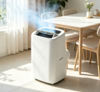 China 7000 BTU Portable Air Conditioner with Rolling Wheels for Living Room for sale