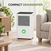 China 20L–30L Compact Dehumidifier Adds Optional Air Filtration Configurations for sale