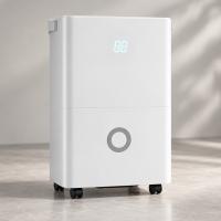China 20L-30L Compact Portable Dehumidifier For Basement / HEPA Filter / Bedroom / Garage for sale
